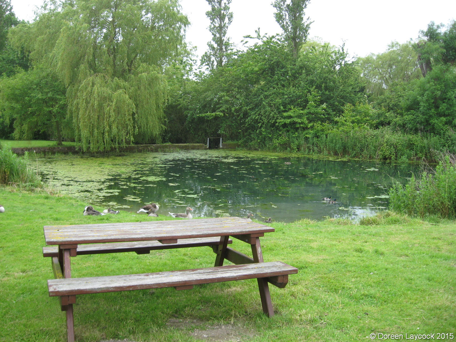 GENUKI: Kilham Village views etc., Yorkshire (East Riding)