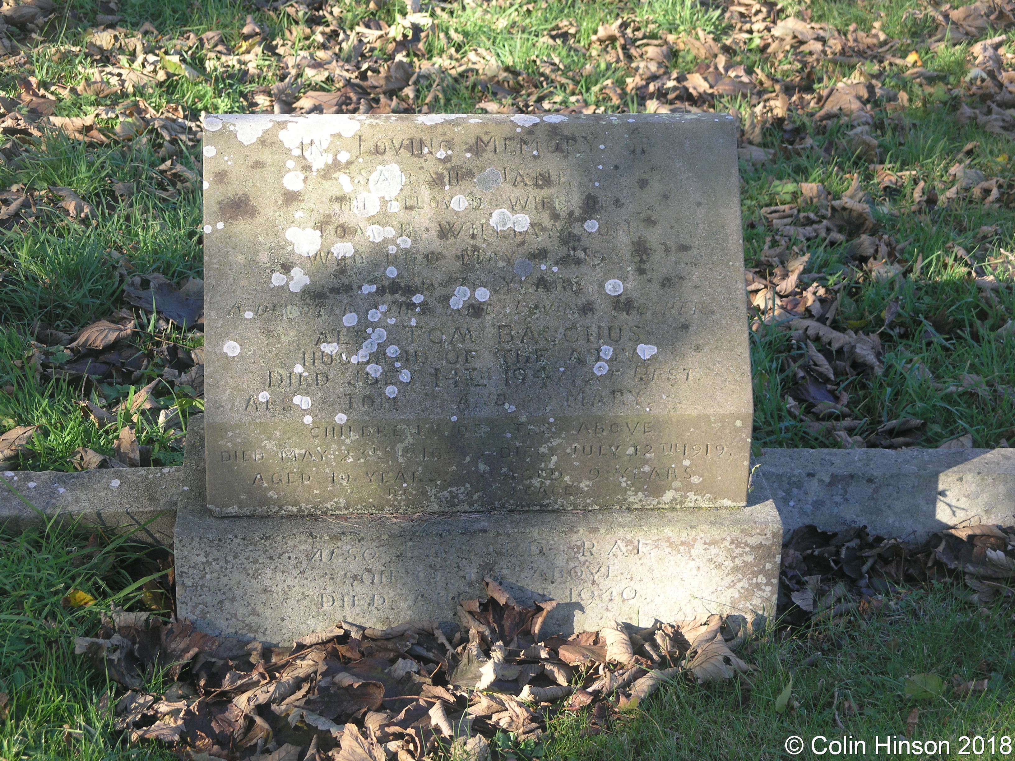 GENUKI: Welwick Churchyard gravestones etc., Yorkshire (East Riding)